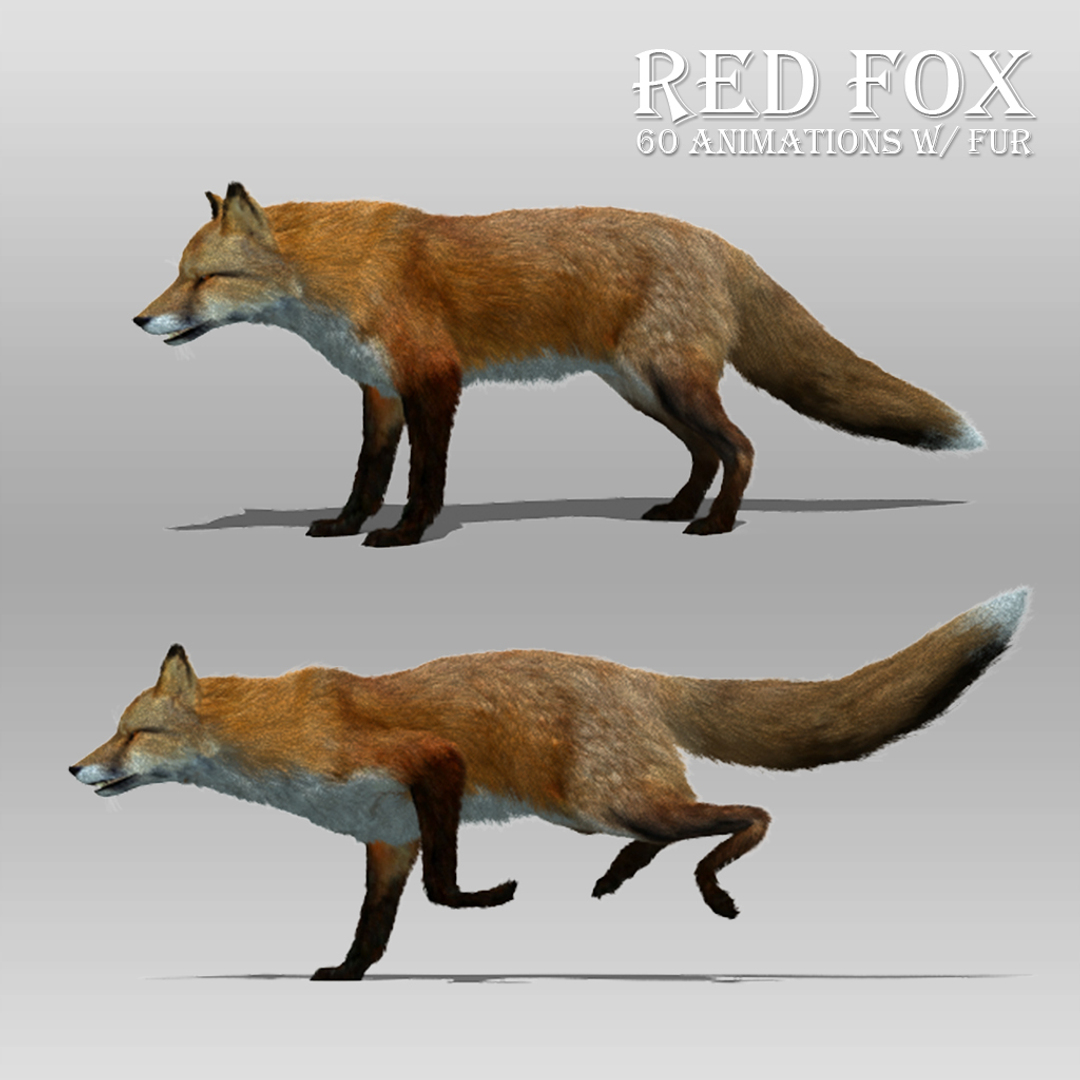 Red black fox fur 3D - TurboSquid 1233608