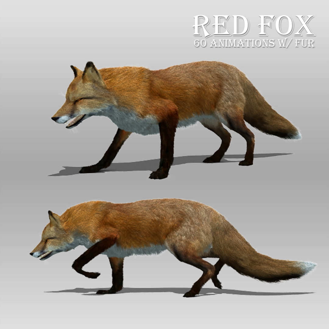Red black fox fur 3D - TurboSquid 1233608