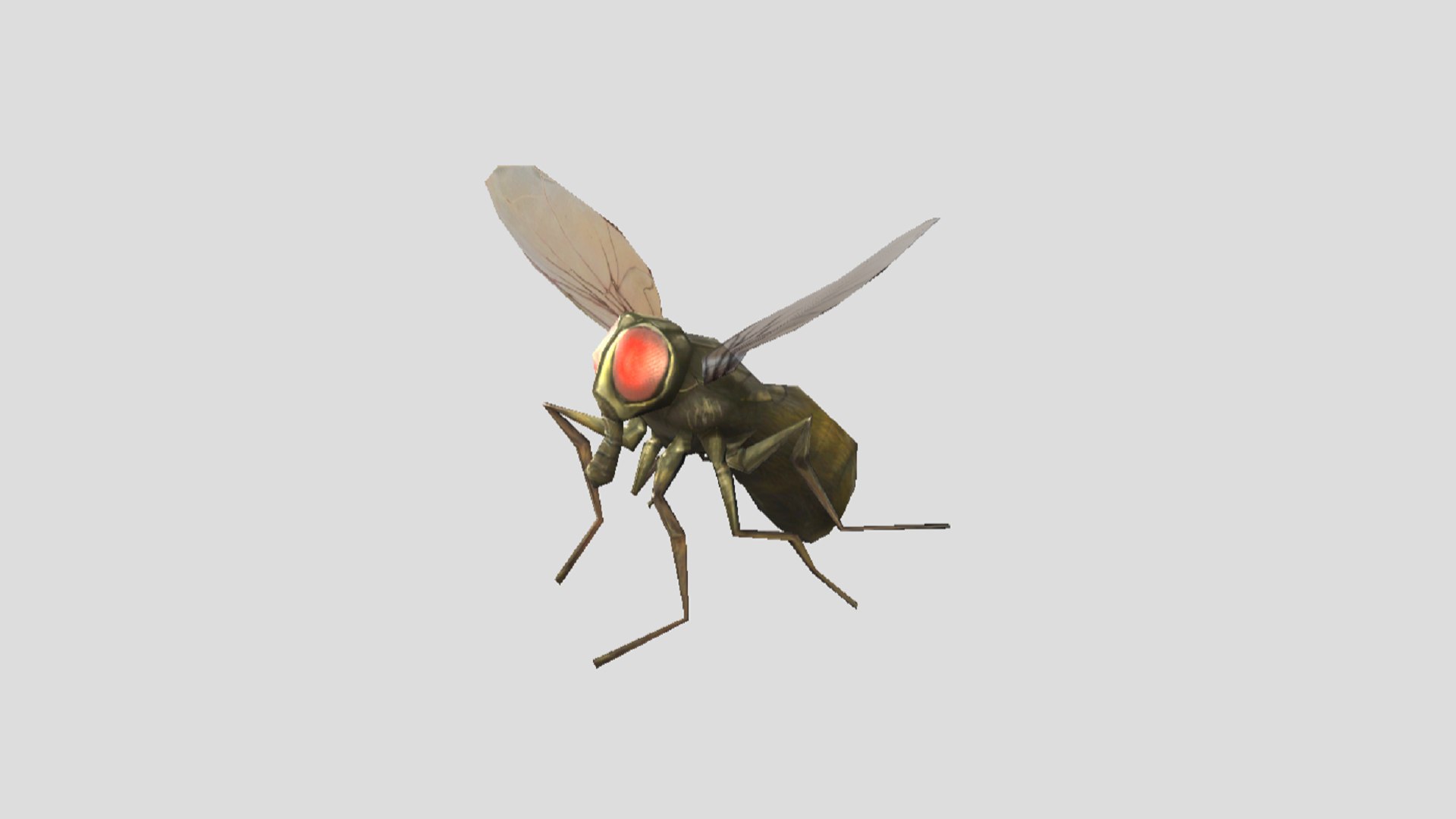 3D Fly - TurboSquid 1725441
