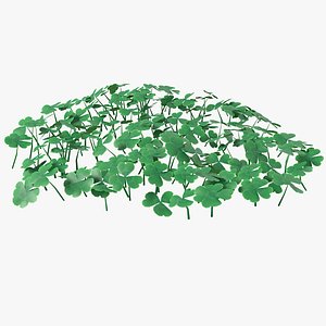 3D Clover Models - Browse & Download Formats - TurboSquid