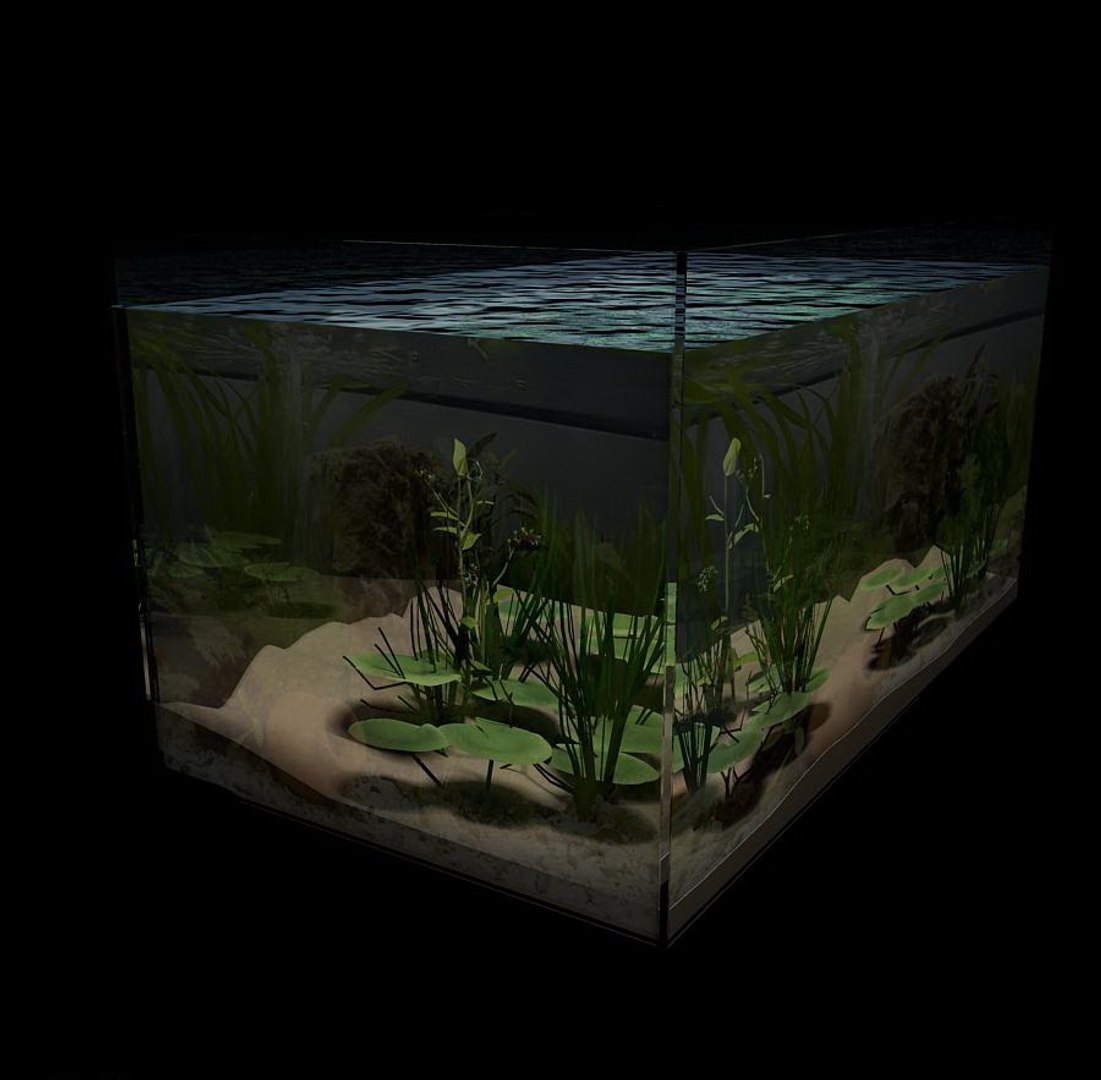 Aquarium 01 3d Ma