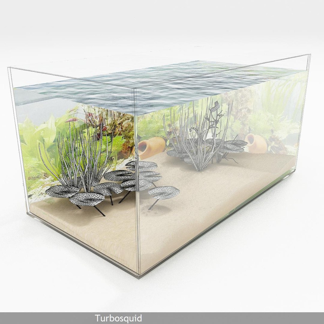 Aquarium 01 3d Ma
