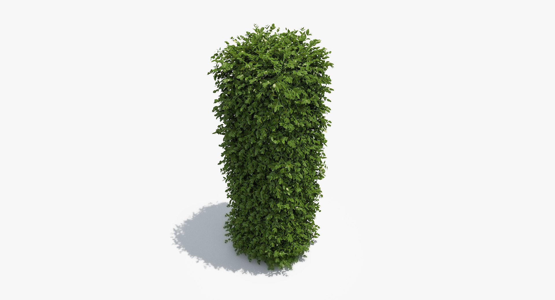 3d Boxwood Column Model