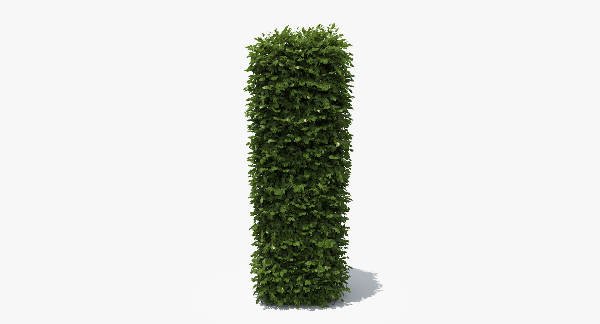 3d Boxwood Column Model
