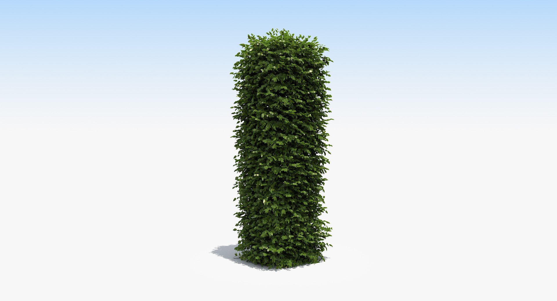3d Boxwood Column Model