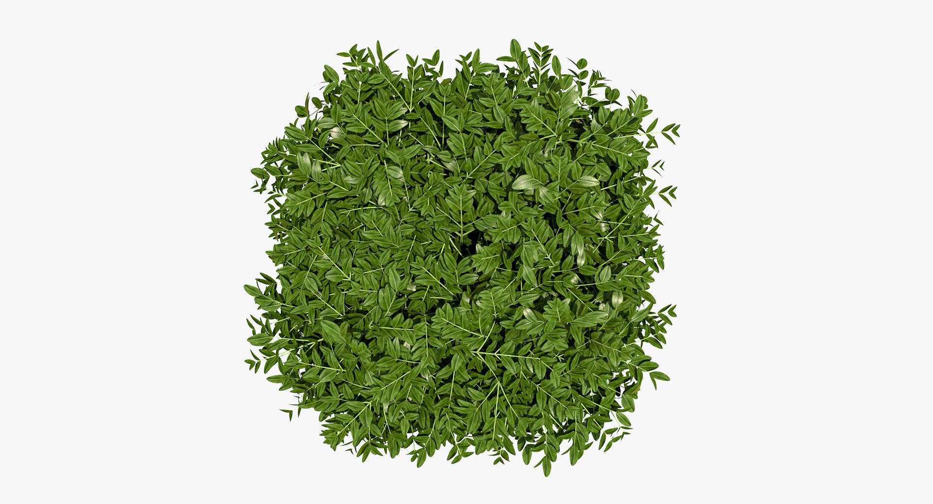 3d Boxwood Column Model