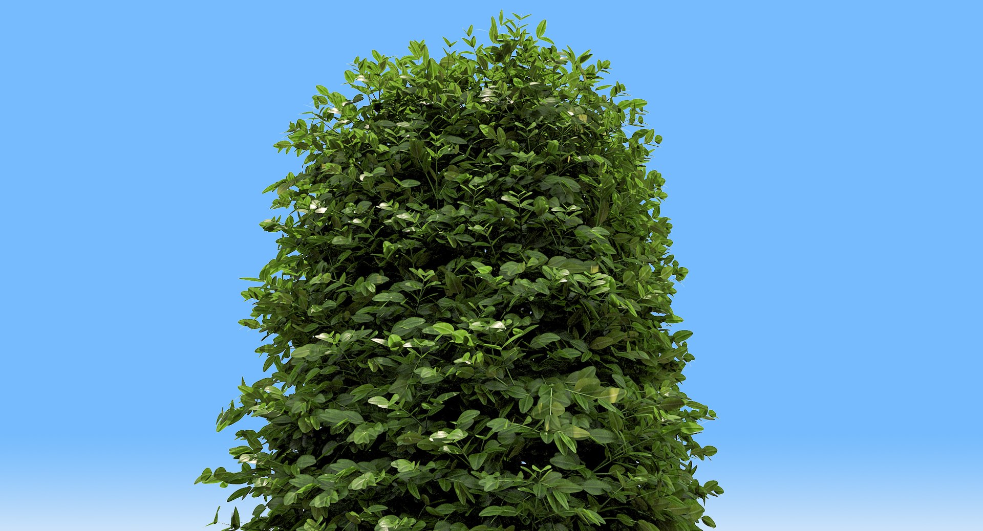 3d Boxwood Column Model