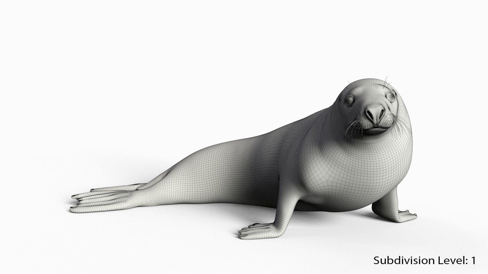 3D Grey Seal Animated Model - TurboSquid 2079075