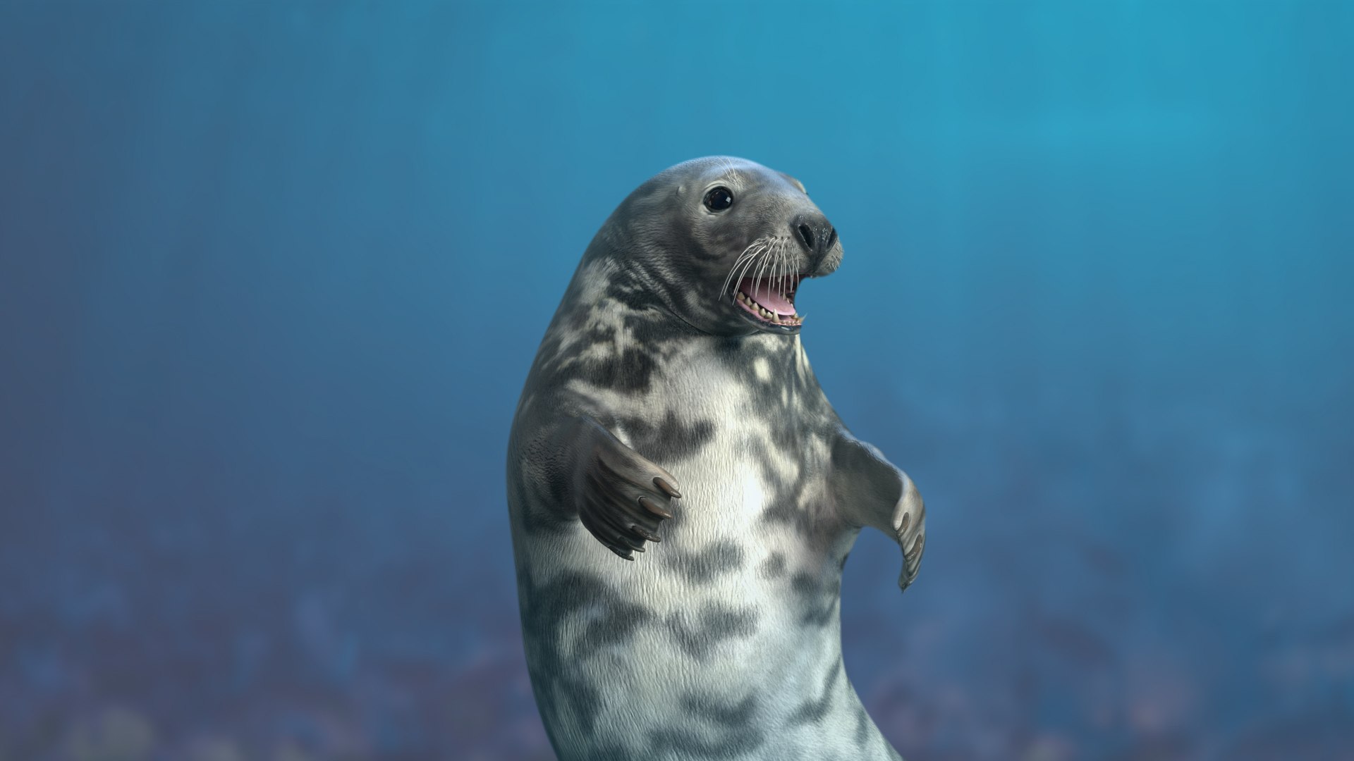3D Grey Seal Animated Model - TurboSquid 2079075