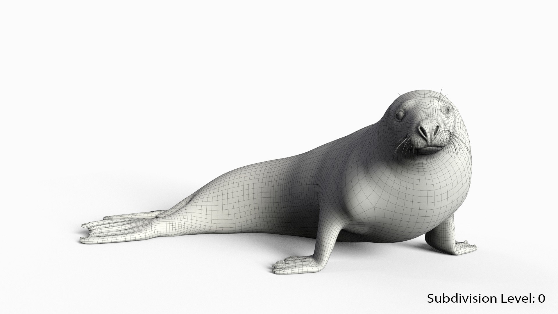 3D Grey Seal Animated Model - TurboSquid 2079075