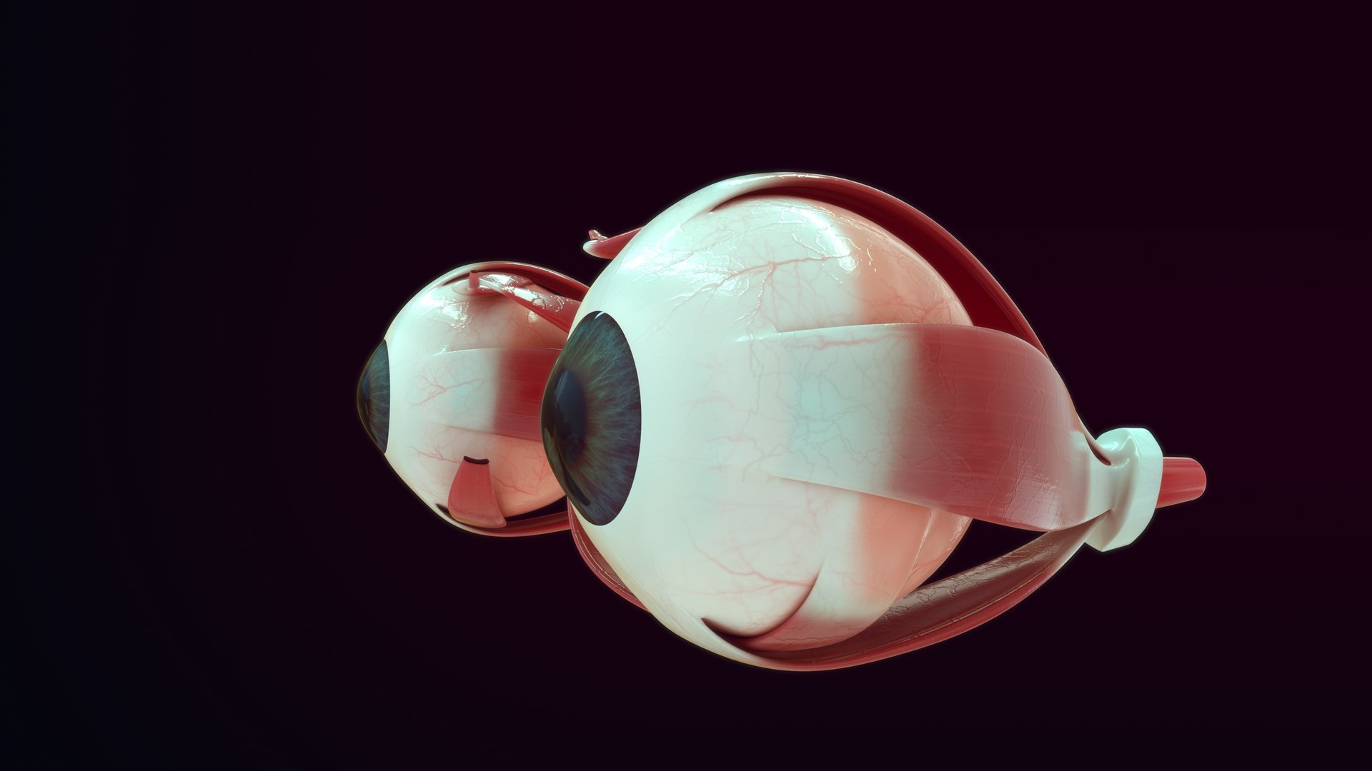 3D Model Human Eye - TurboSquid 2187105