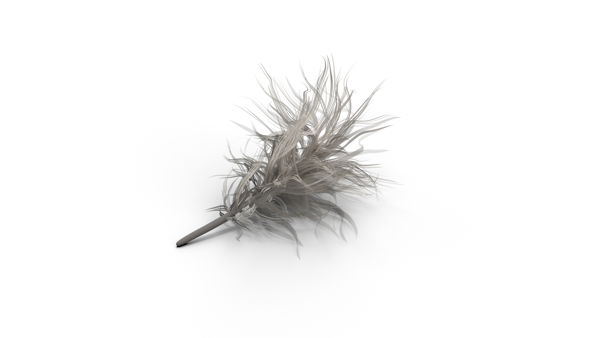 3D Canada Goose Feather - TurboSquid 2211858
