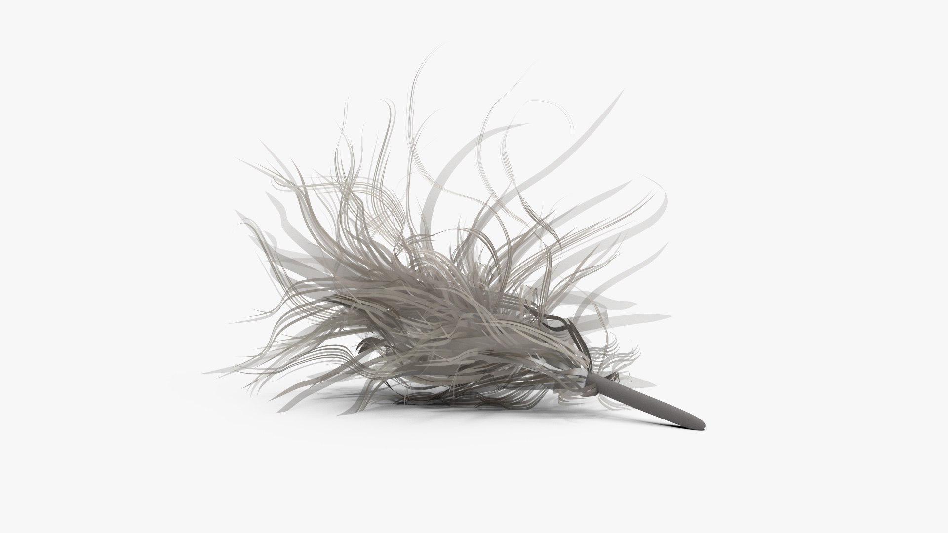 3D Canada Goose Feather - TurboSquid 2211858