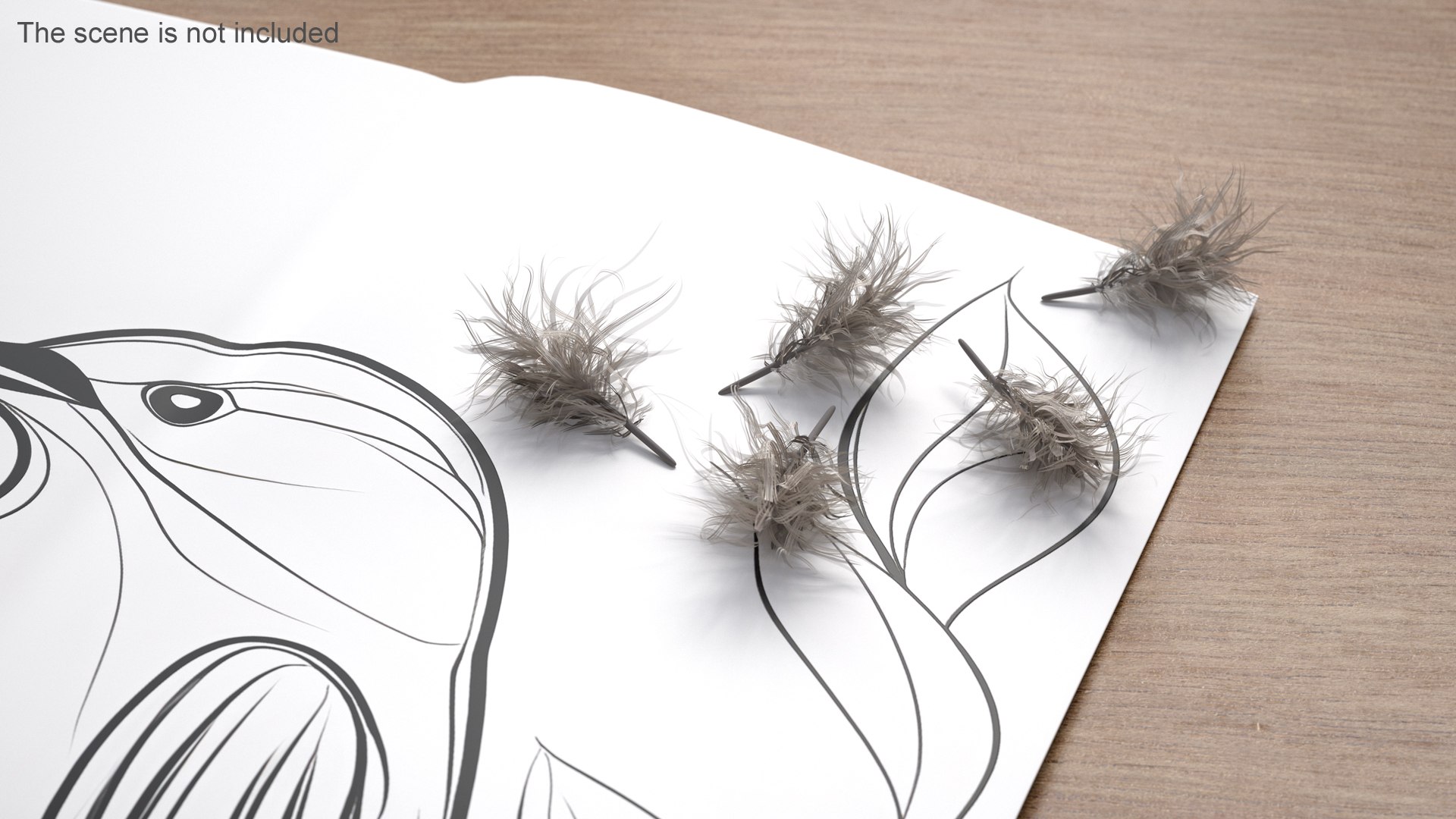 3D Canada Goose Feather - TurboSquid 2211858