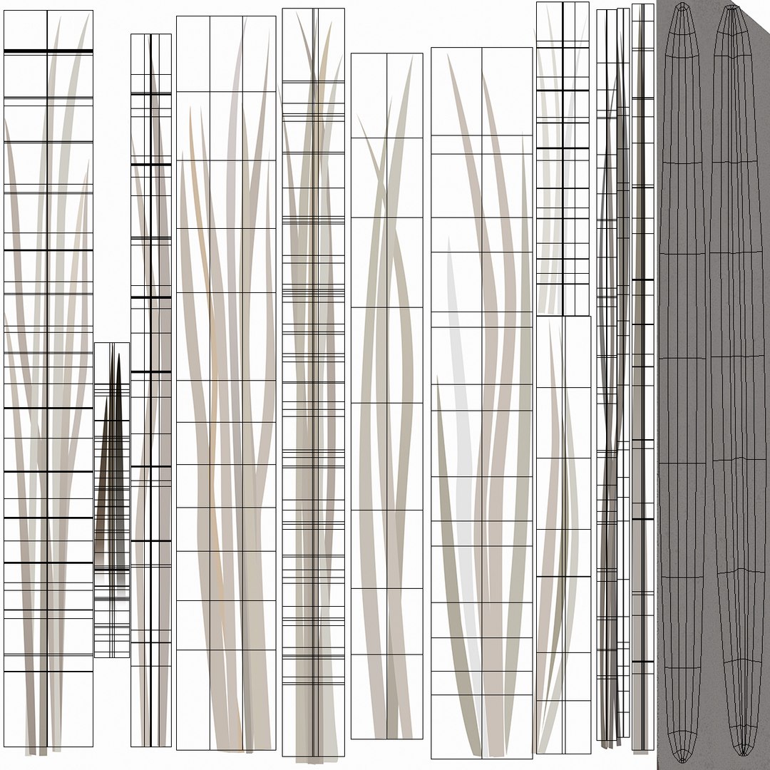 3D Canada Goose Feather - TurboSquid 2211858