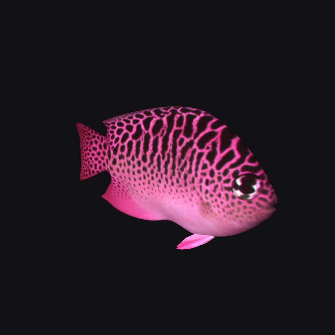 Ocean Fish 3D - TurboSquid 1244964