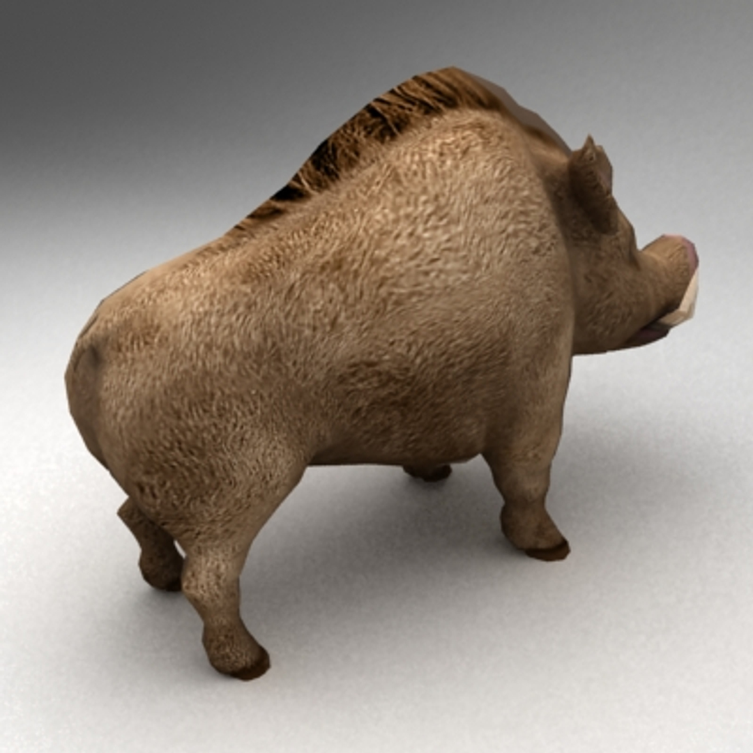 wild boar 3d model