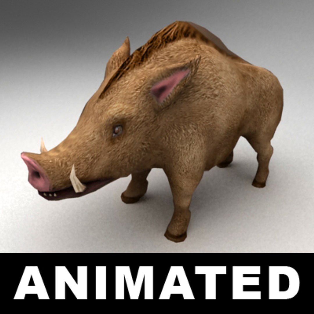 Wild Boar 3d Model