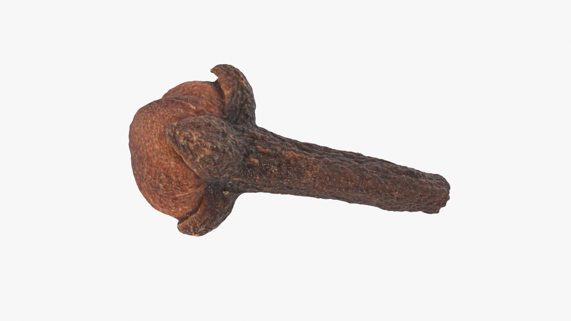 Clove 01 Model - TurboSquid 2317558