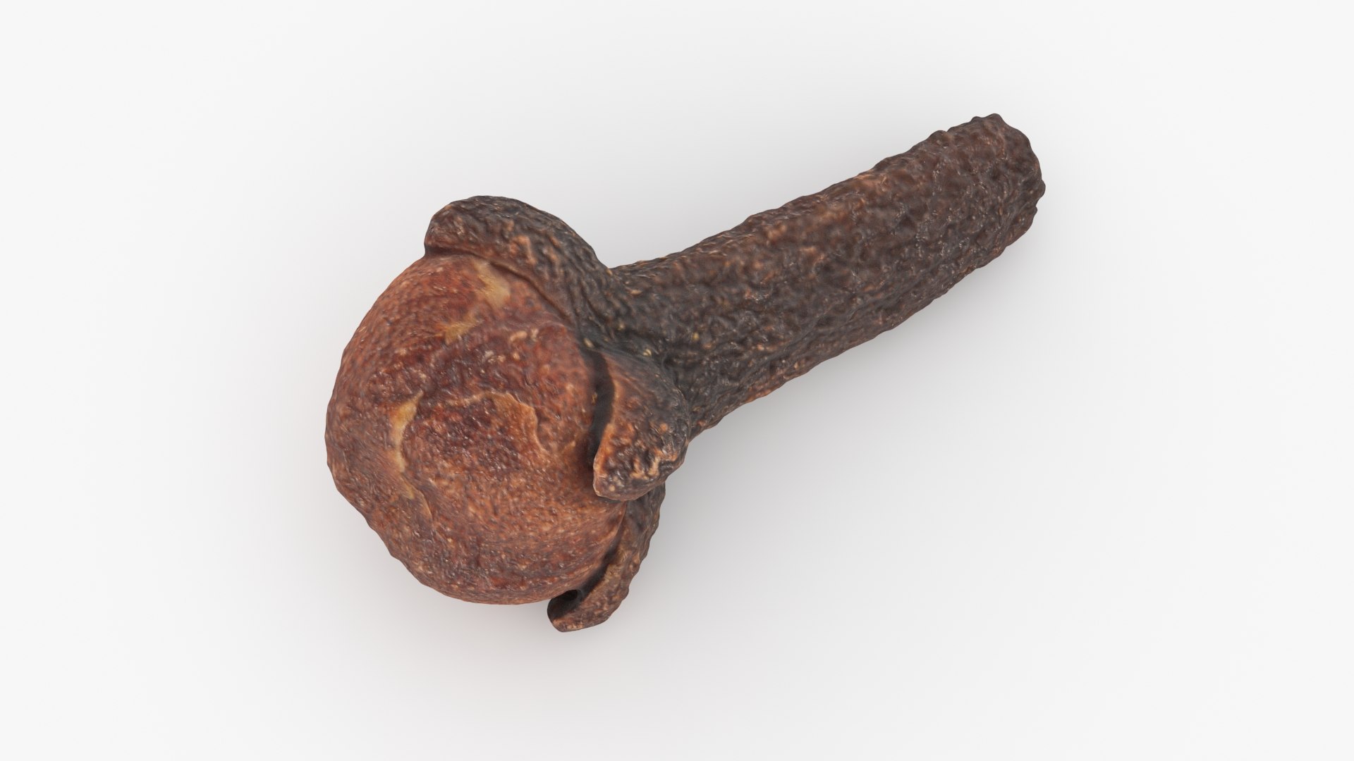 Clove 01 Model - TurboSquid 2317558