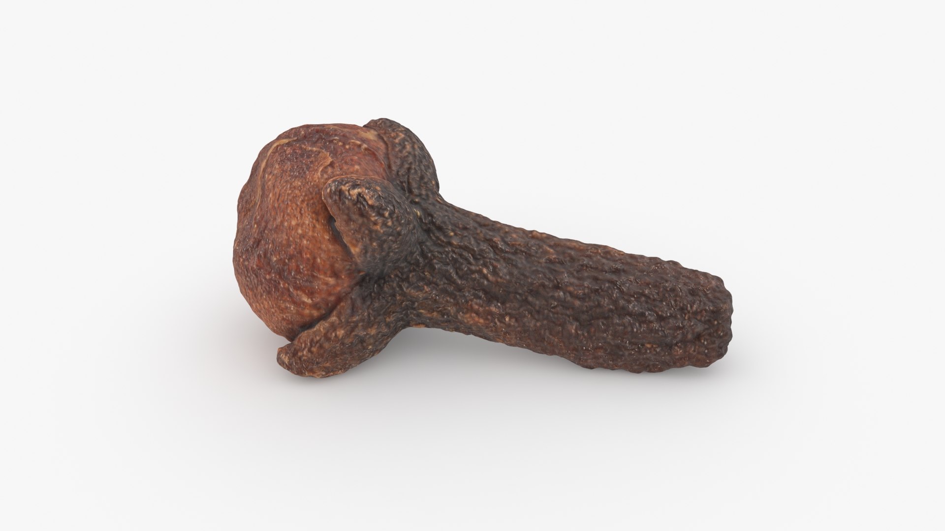 Clove 01 Model - TurboSquid 2317558