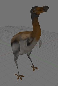 Dodo 3D Models for Download | TurboSquid