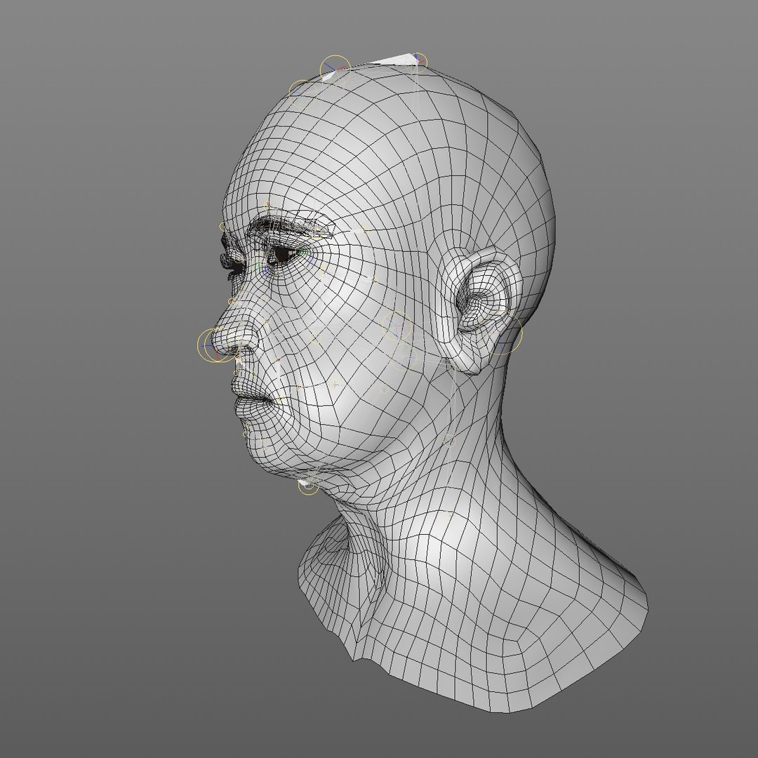 3D Realistic Head Base Mesh - TurboSquid 1439696