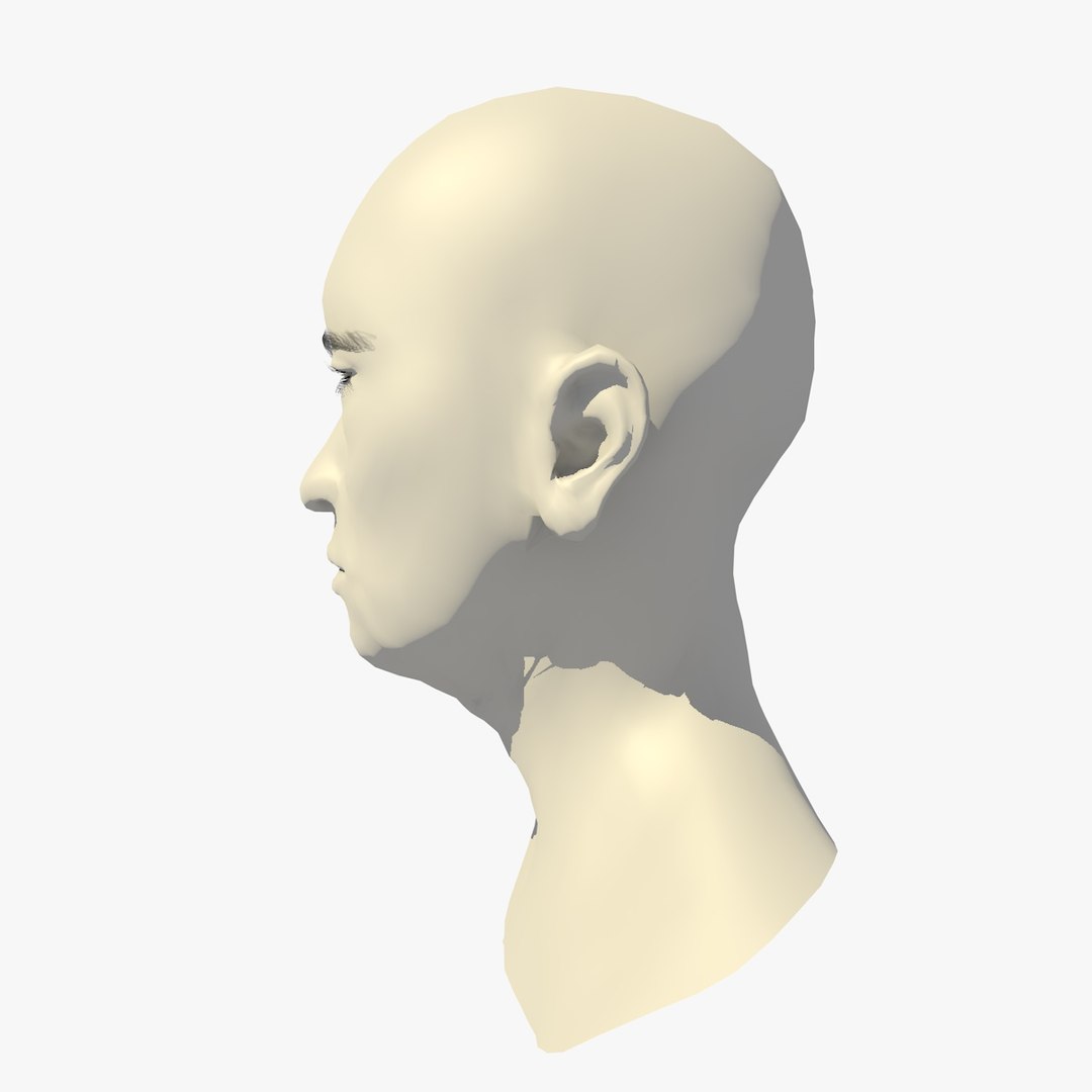 3D Realistic Head Base Mesh - TurboSquid 1439696