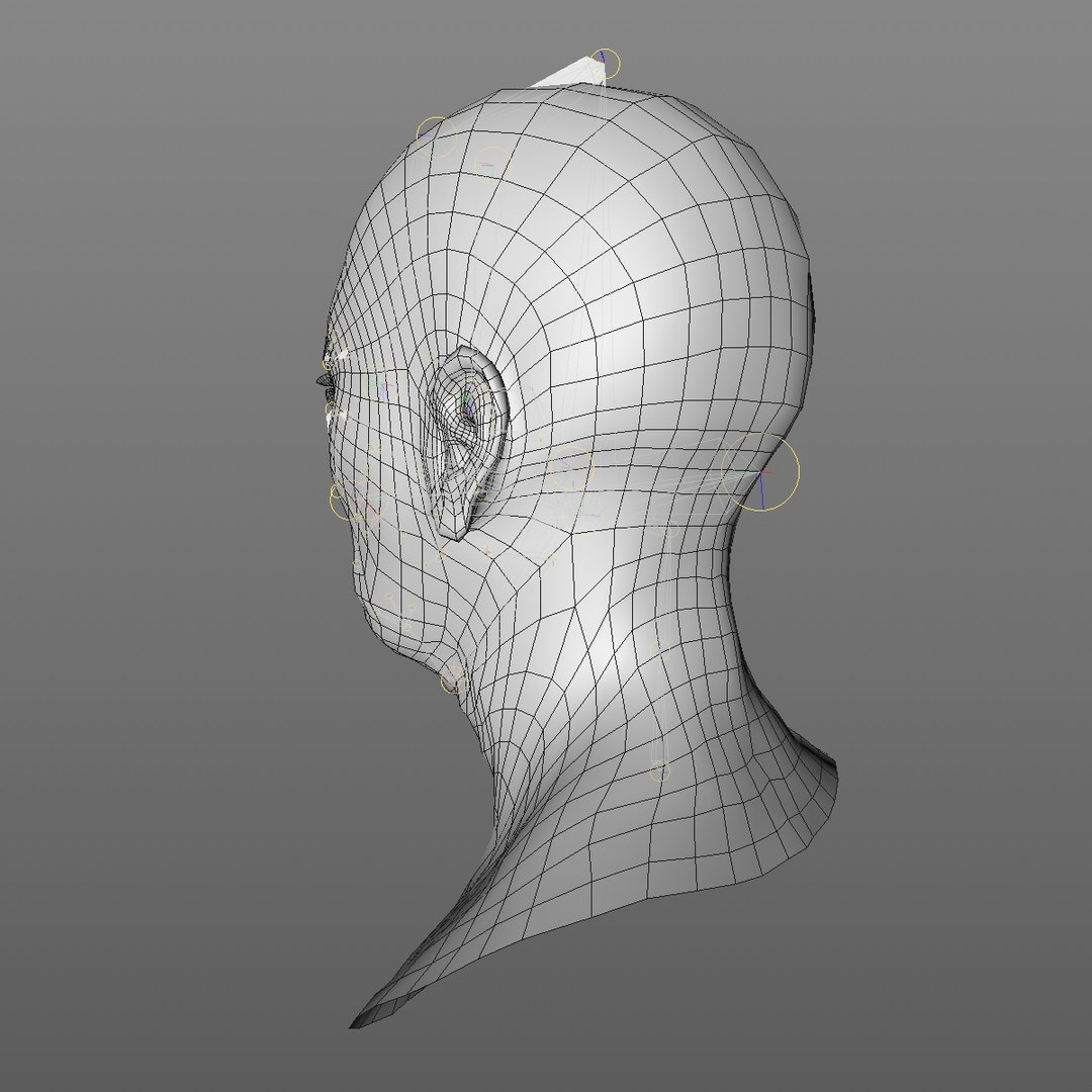 3D Realistic Head Base Mesh - TurboSquid 1439696