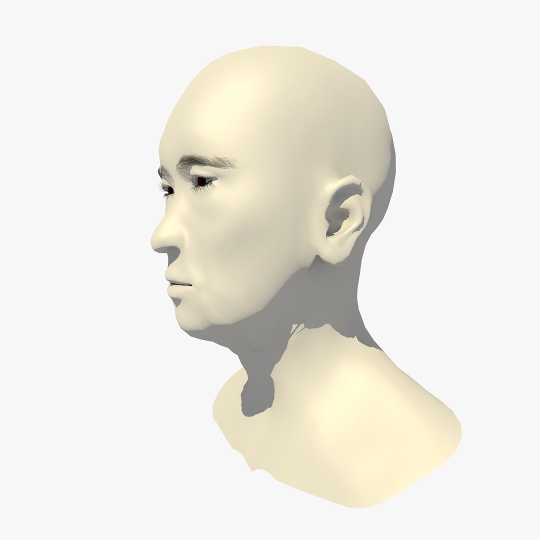 3D Realistic Head Base Mesh - TurboSquid 1439696