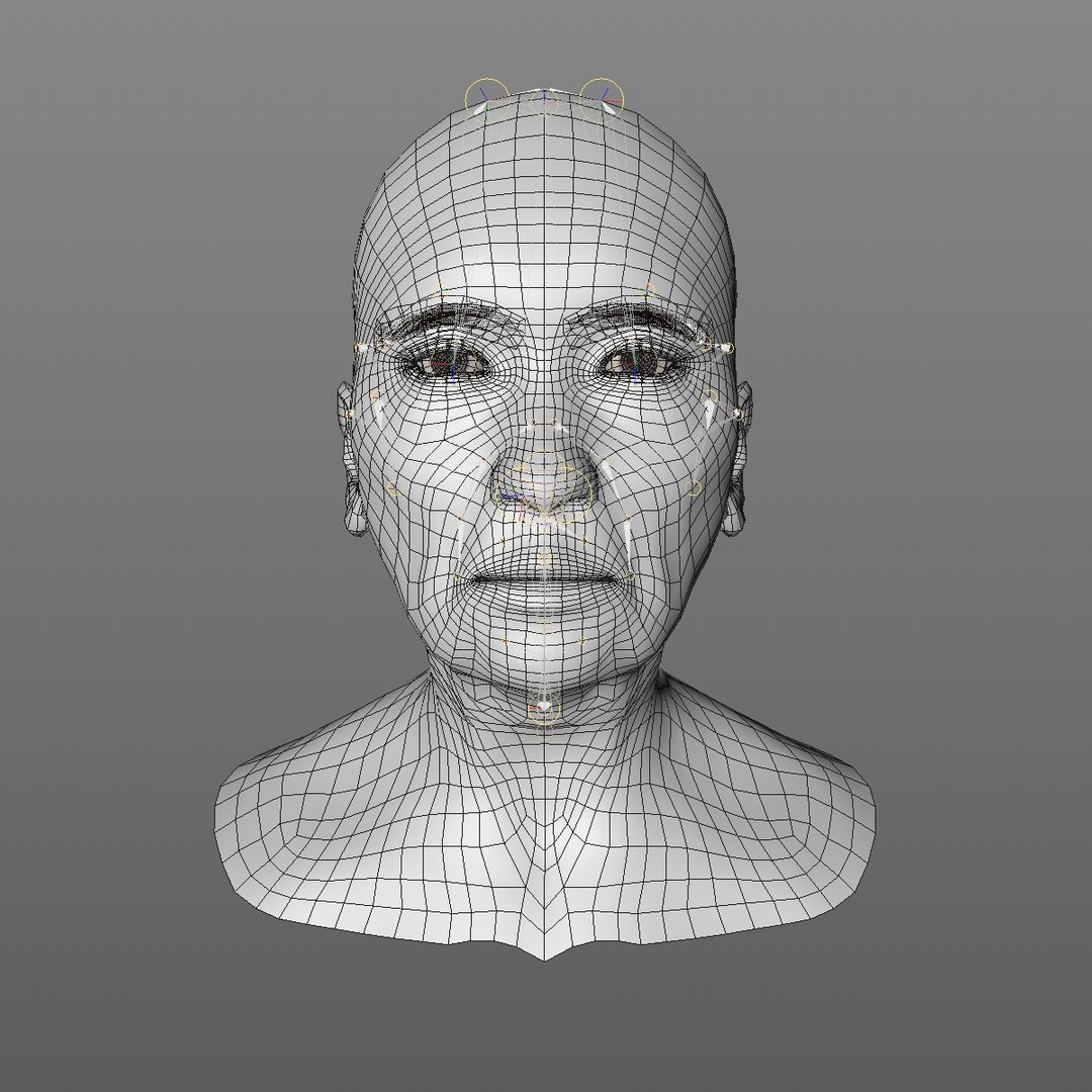 3D Realistic Head Base Mesh - TurboSquid 1439696