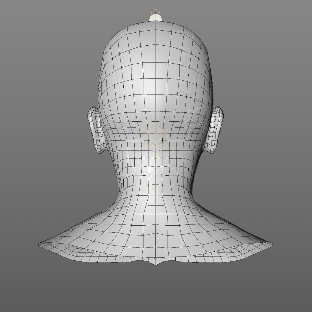 3D realistic head base mesh - TurboSquid 1439696