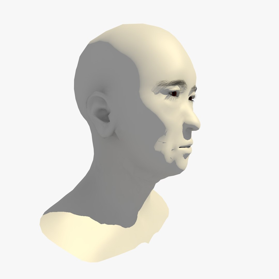 3D Realistic Head Base Mesh - TurboSquid 1439696