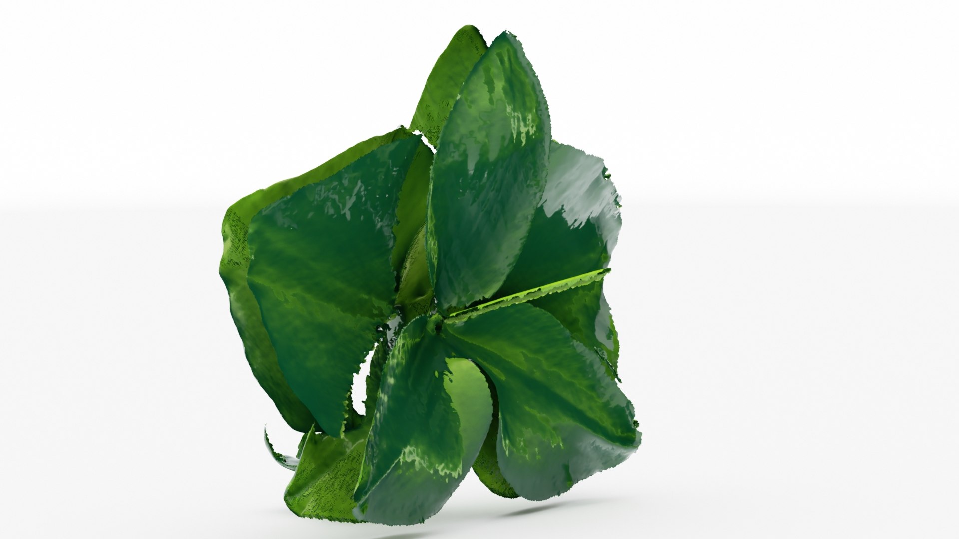 Free Orchid Flower Free 3d Scan 3D Model - TurboSquid 2387948