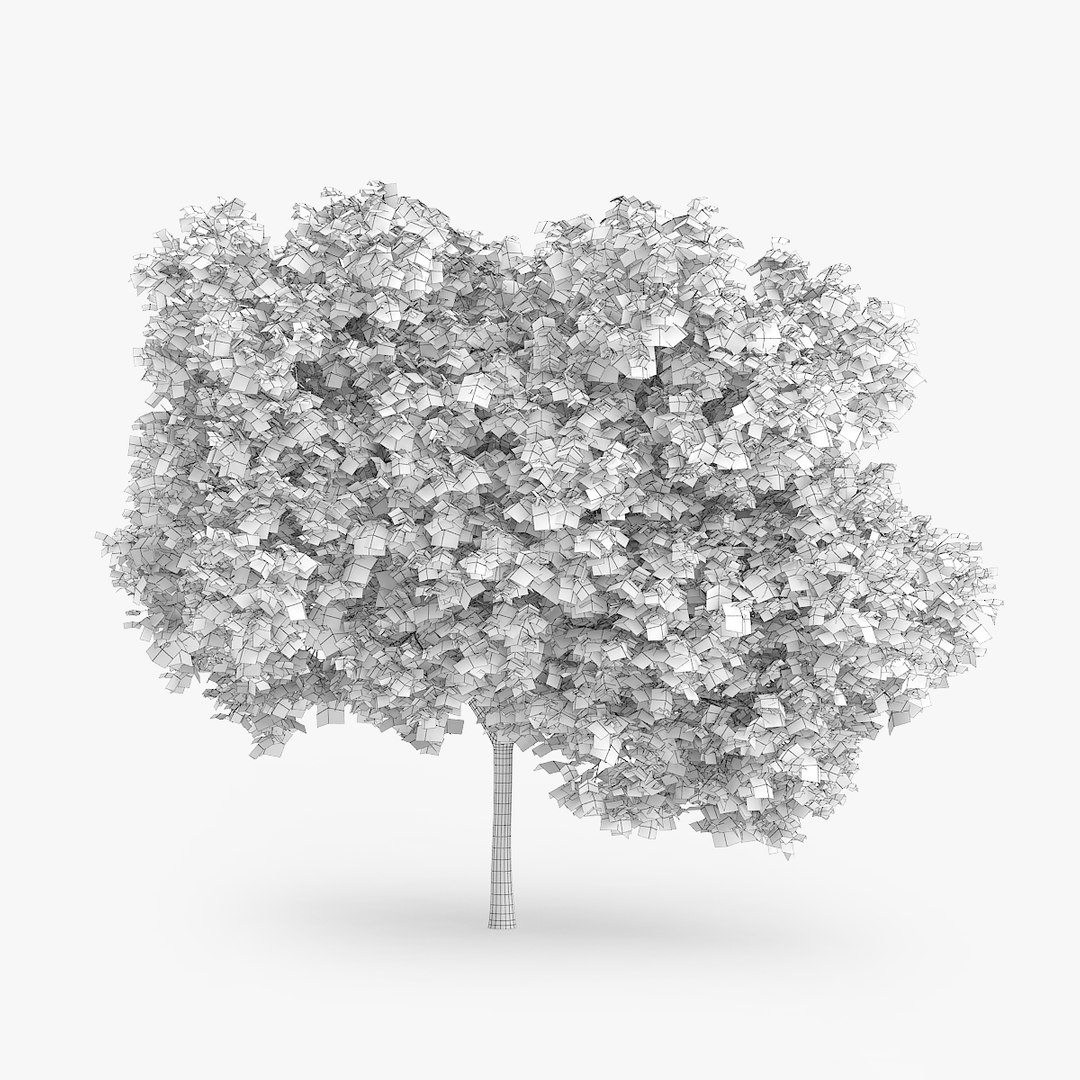 Red Maple Tree 7 3d Model