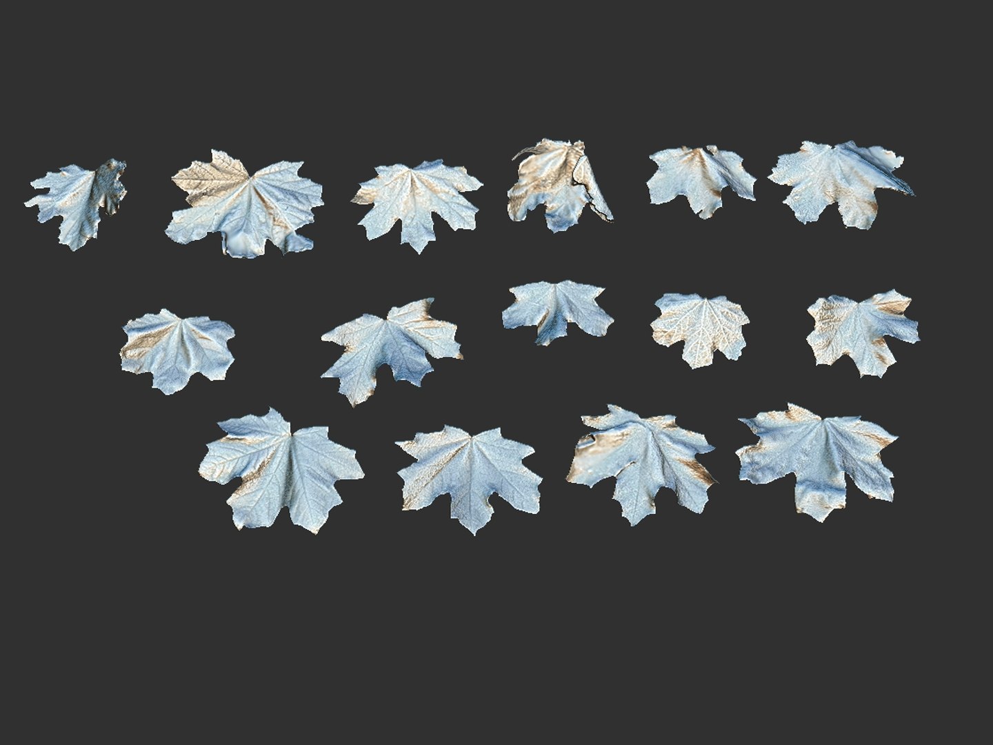 Autumn leaves scan pack 3D model - TurboSquid 1340461