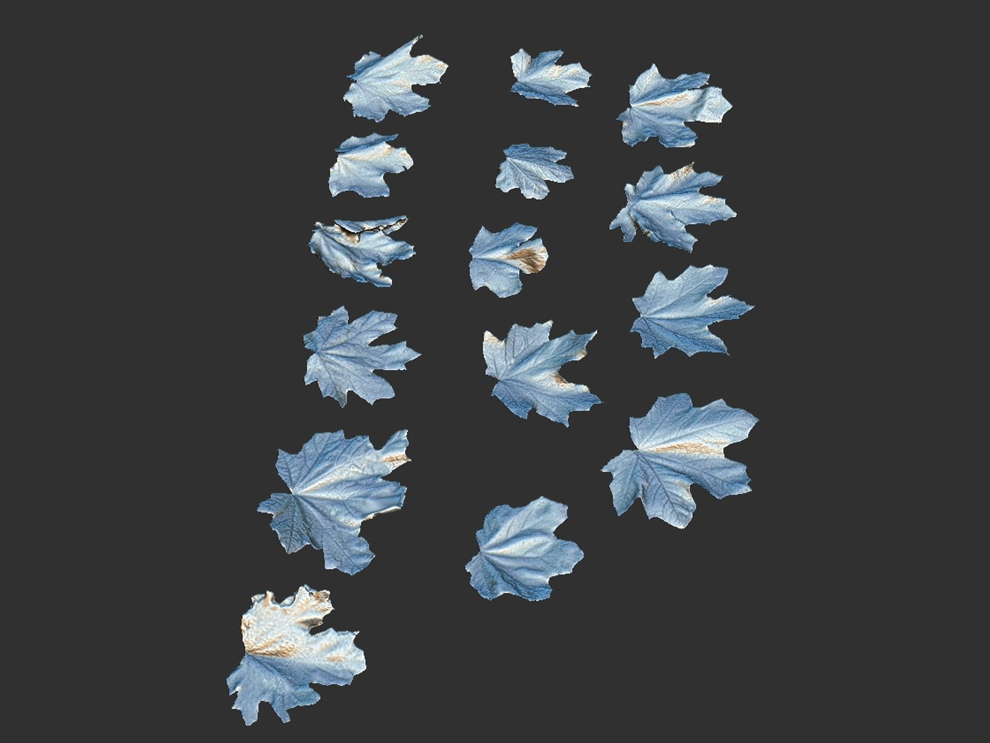 Autumn leaves scan pack 3D model - TurboSquid 1340461