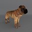 3d ori pei dog model