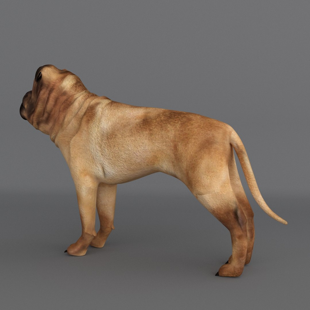 3d ori pei dog model