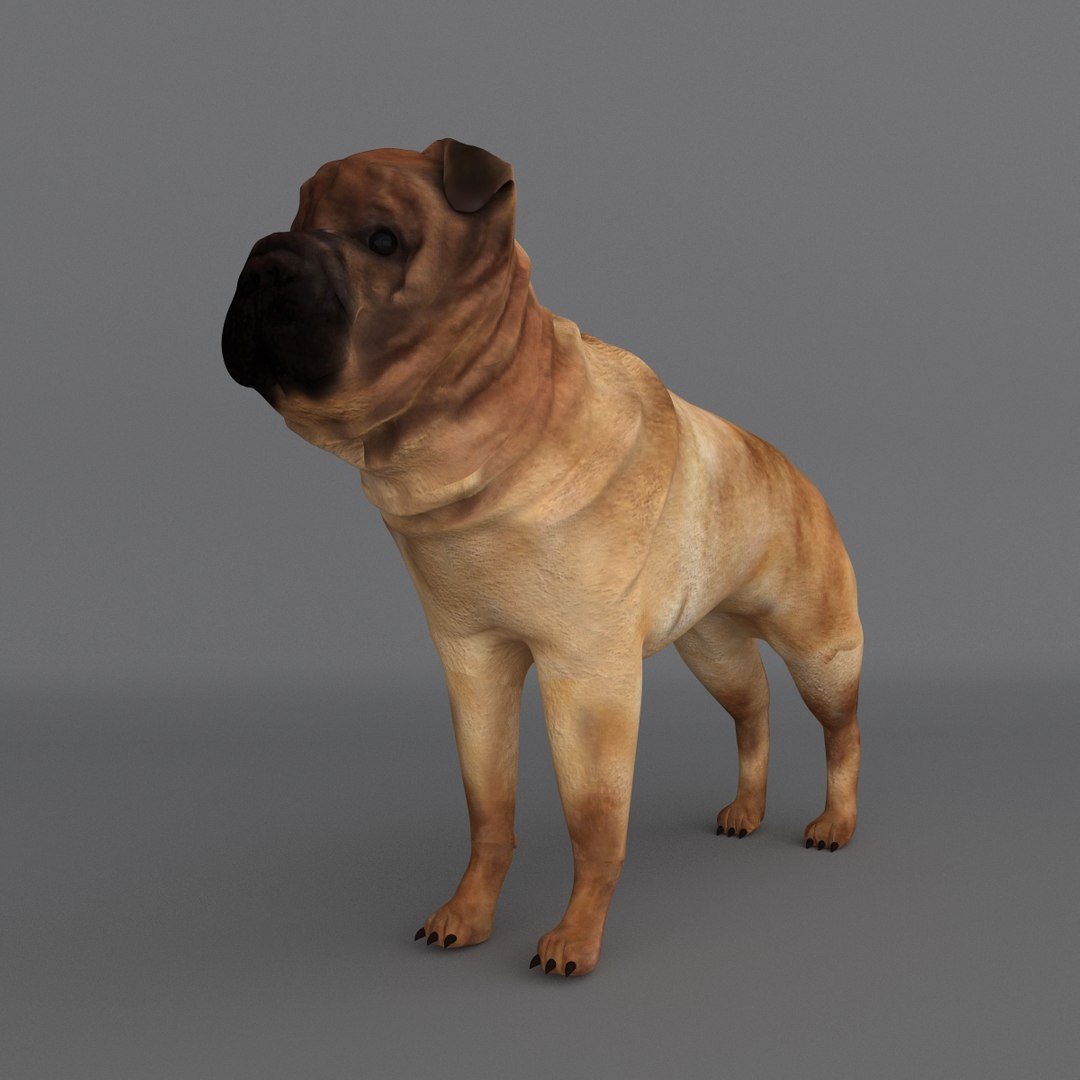 3d ori pei dog model