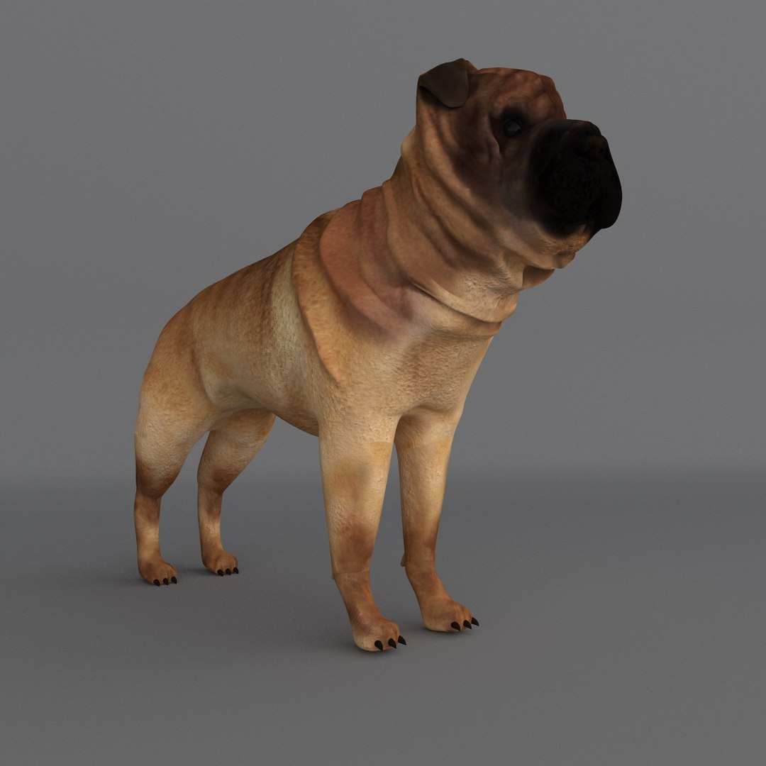 3d ori pei dog model