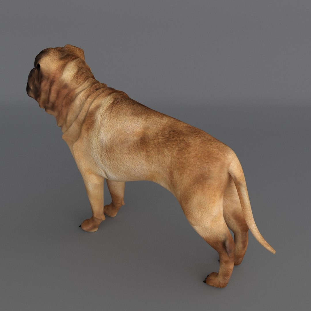 3d ori pei dog model