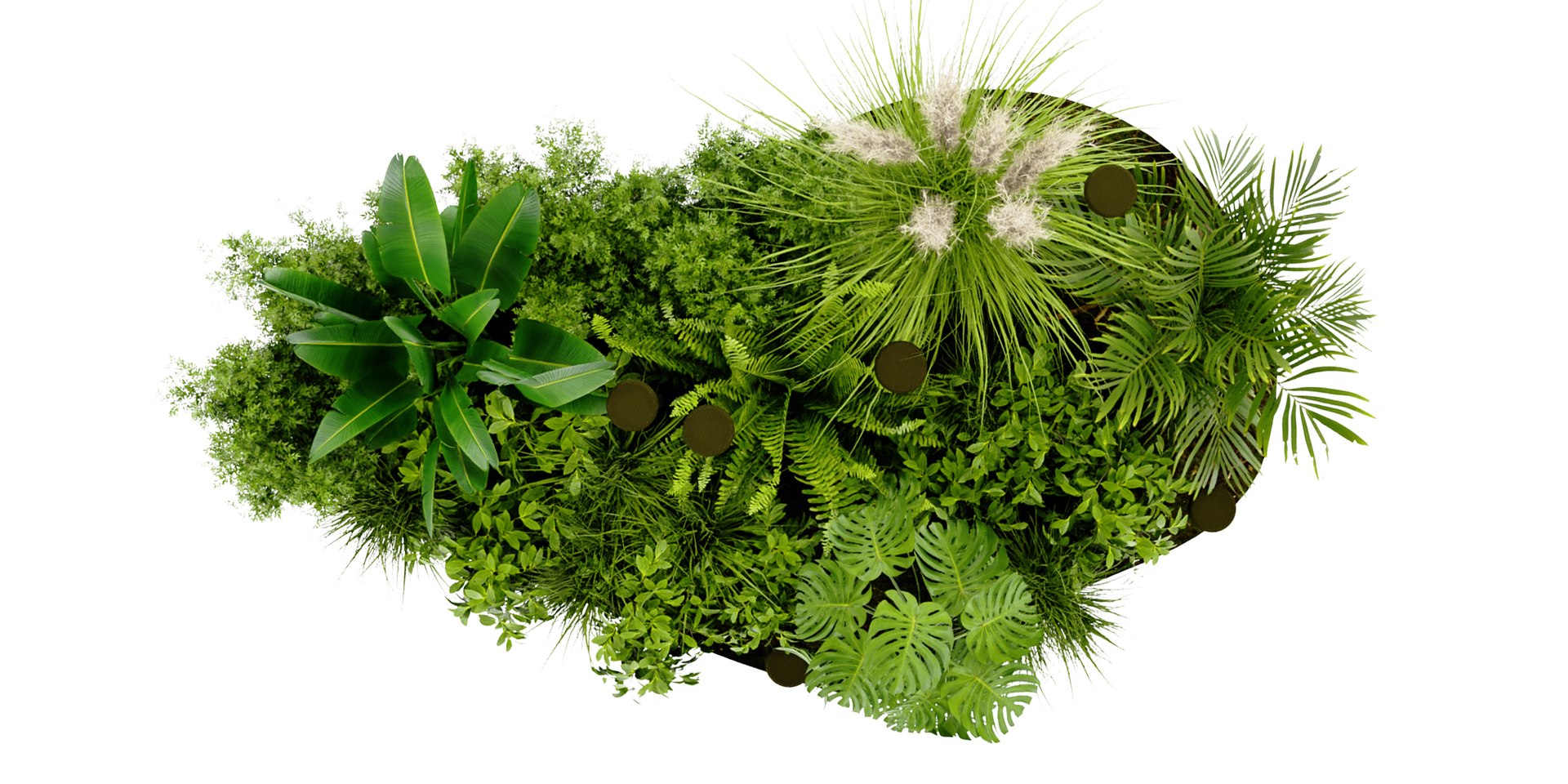 3D Model Collection Plant Vol 409 - Blender Model - TurboSquid 2095907