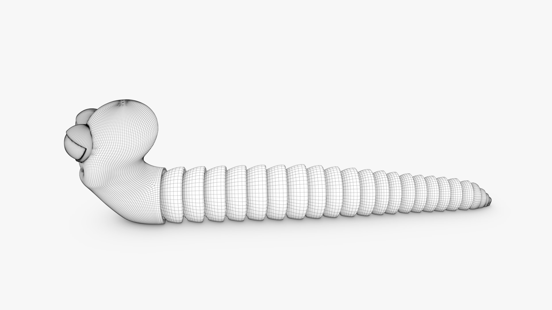 Articulated Worm 3D Model - TurboSquid 2061757