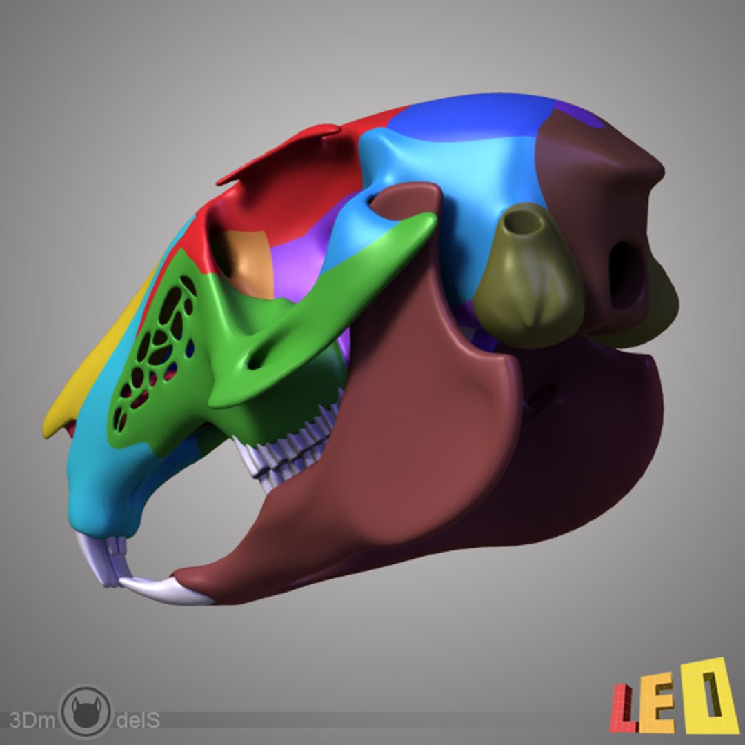3ds Max Rabbit Skull