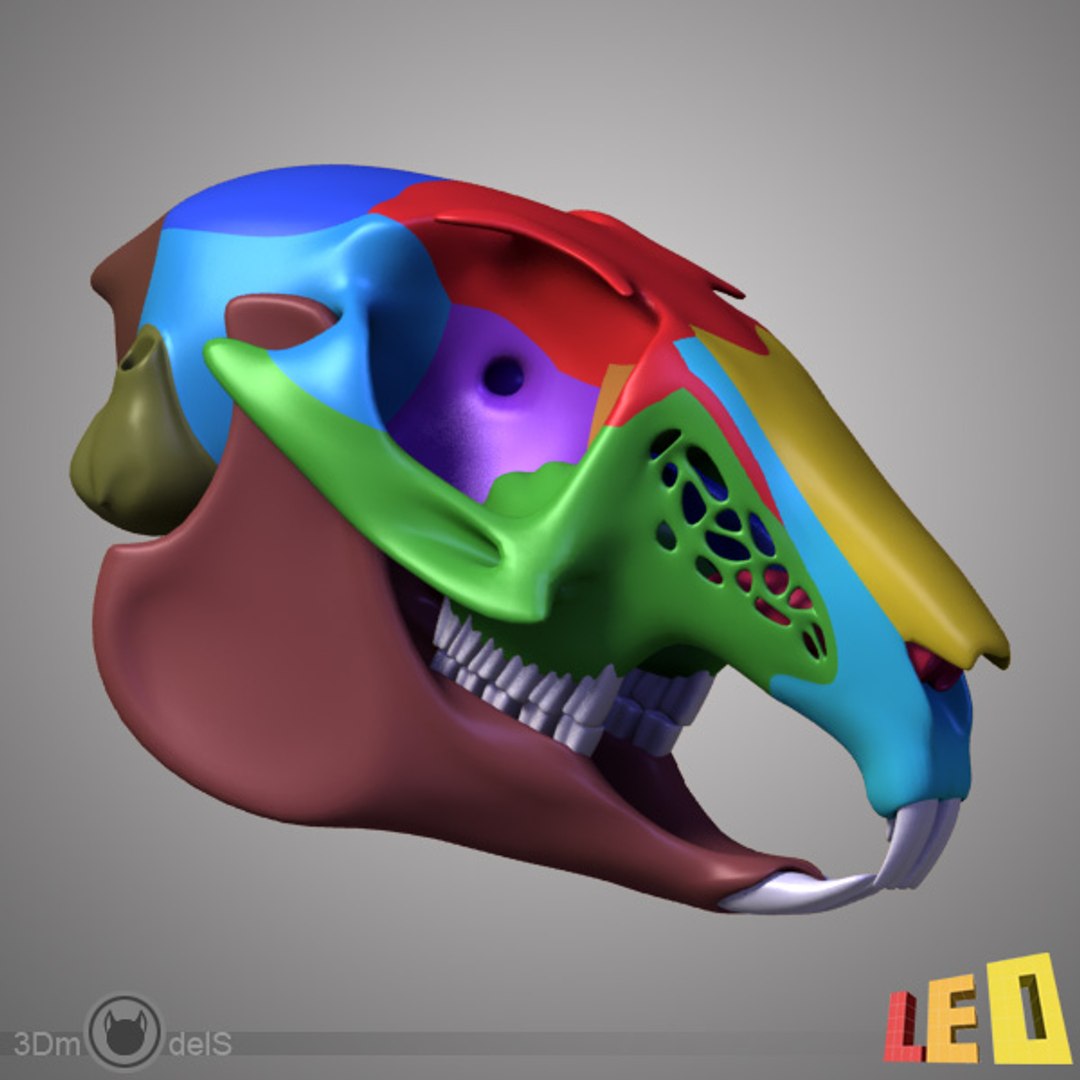 3ds Max Rabbit Skull