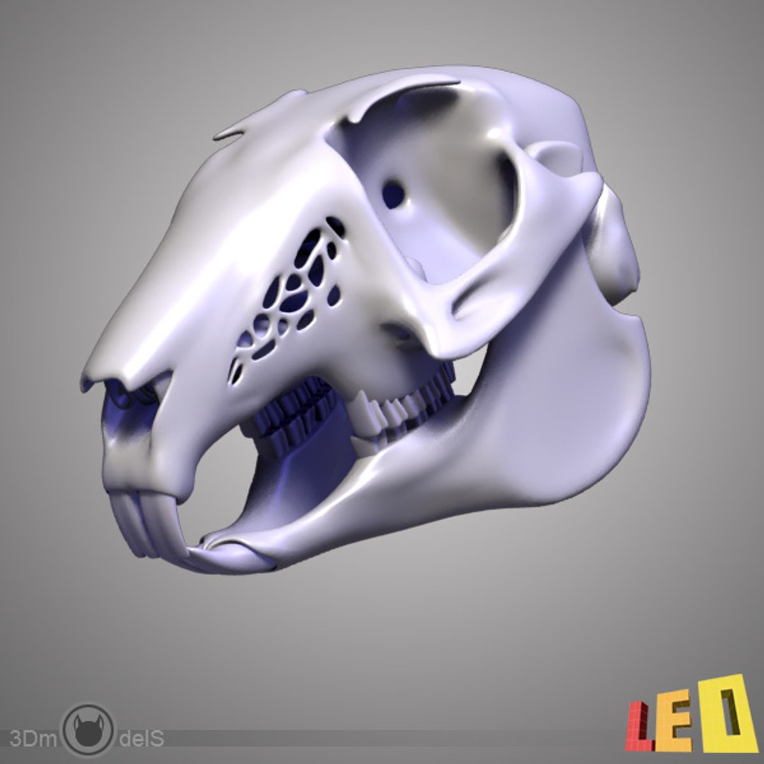 3ds Max Rabbit Skull