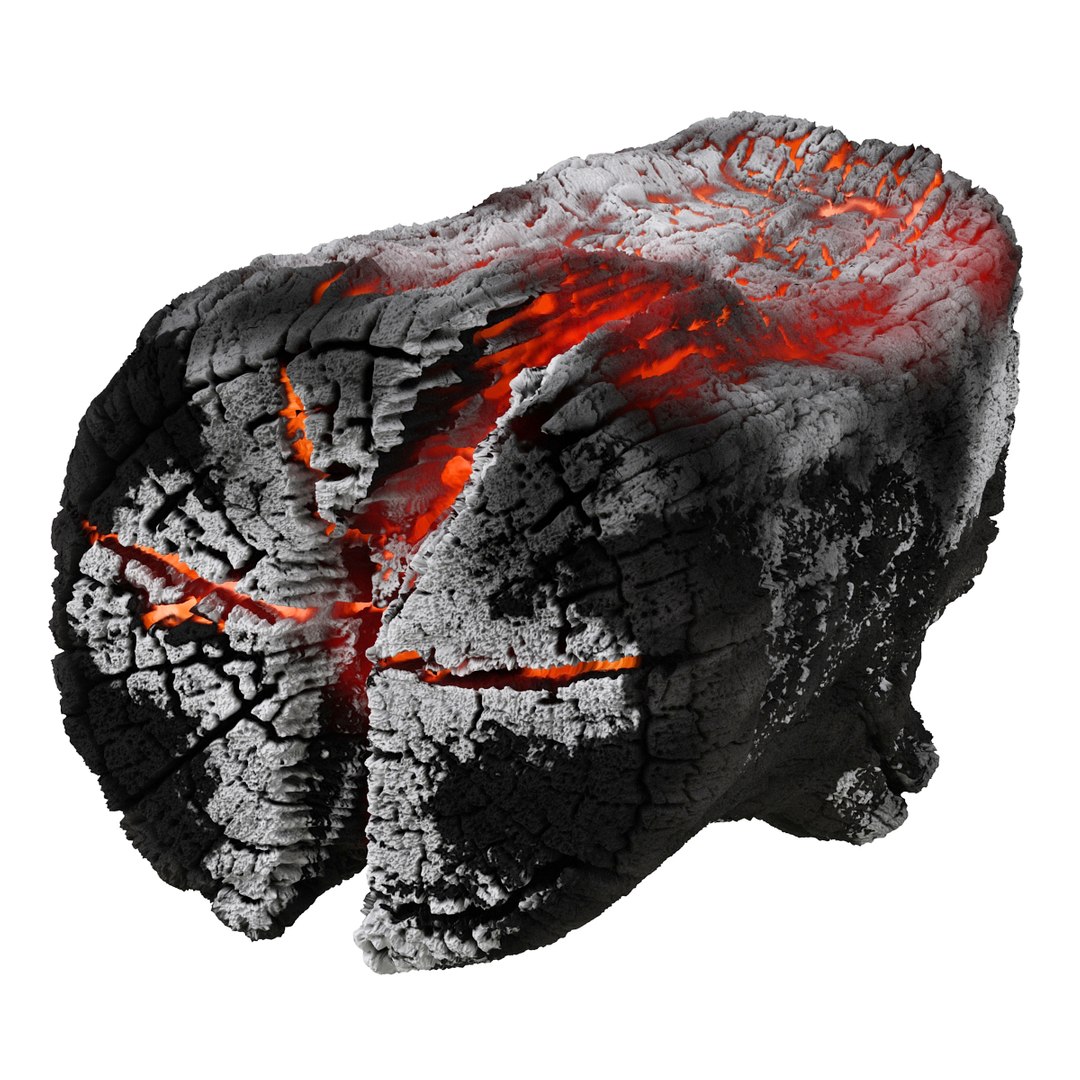 3d charred log 2