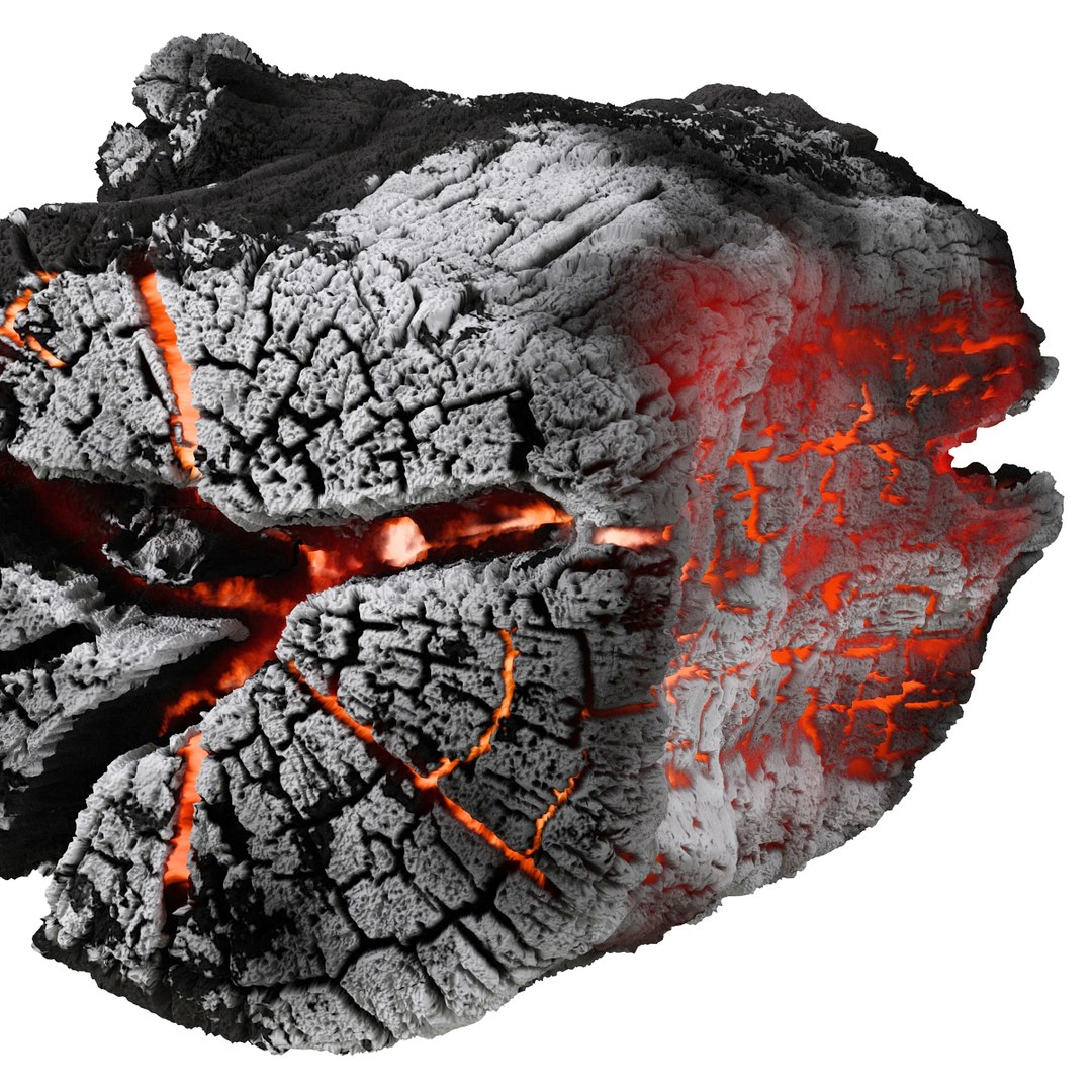 3d charred log 2