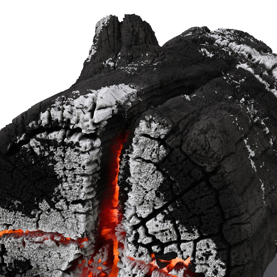 3d charred log 2
